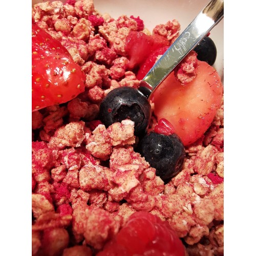 Muesli protéiné Fruits rouges Cétodiet